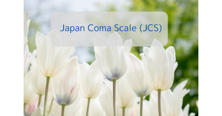 Japan Coma Scale （JCS) | リハビリ評価の広場