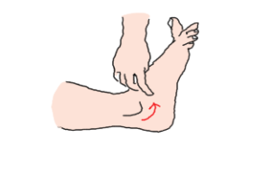 病的反射 pathologic reflex | リハビリ評価の広場